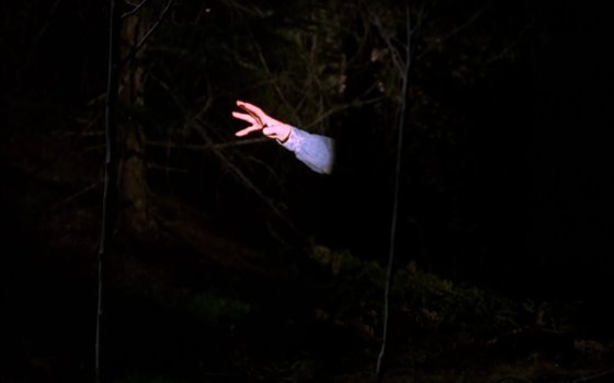 tp-bob-arm