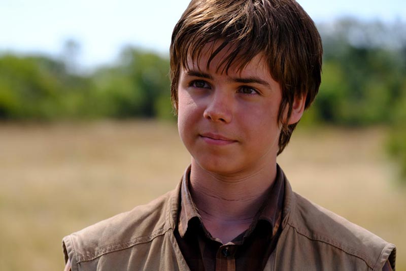 ‘Phoenix Wilder’ Examines the Tragedy of Elephant Trophy Hunting